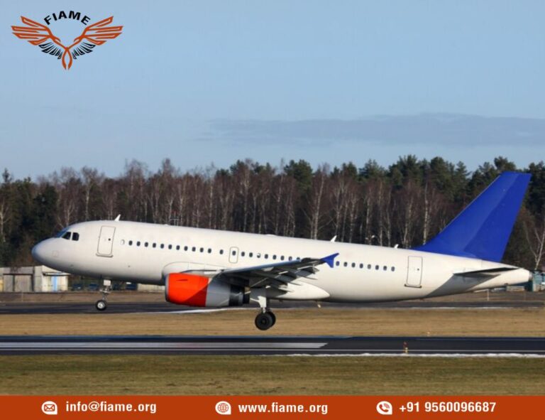 Expanding Horizons in the Aviation Sector: A Wealth of Opportunities ...